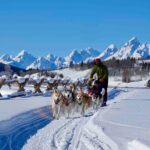 Jackson Hole Dog Sledding Adventure - Key Points