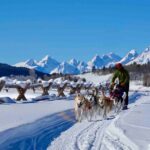 Jackson Hole Full-Day Dog Sledding and Snowmobiling Combo Trip - The Highlights and Drawbacks