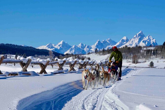 Jackson Hole Full-Day Dog Sledding and Snowmobiling Combo Trip - The Highlights and Drawbacks