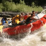 Jackson Hole: Snake River Whitewater Rafting Tour - What You’ll Experience During the Tour