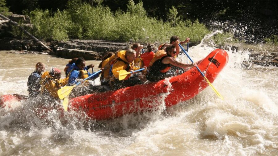 Jackson Hole: Snake River Whitewater Rafting Tour - What You’ll Experience During the Tour