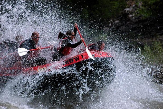 Jackson Hole Whitewater Rafting Classic from Jackson Hole,Wyoming - The Scenic Side: Wildlife and Landscape