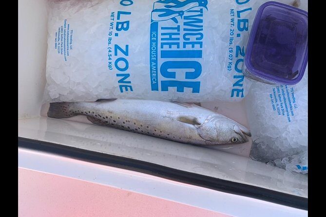 Jacksonville Fishing Charter-23' - Final Thoughts: Is This the Right Choice?