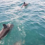 Jacksonville Private Boat Tour Daytime or Sunset, up to 6 people - Who Will Love This Tour?