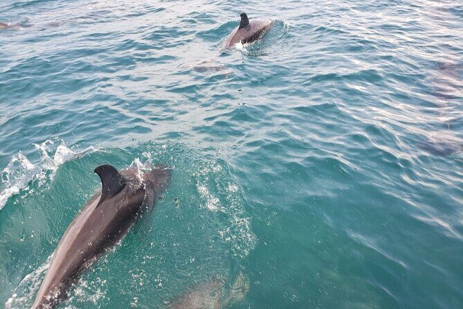 Jacksonville Private Boat Tour Daytime or Sunset, up to 6 people - Who Will Love This Tour?