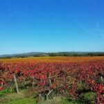 Jeep Cork Tour Experience Pack - The Value of the Experience
