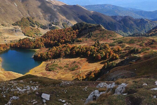 Jeep tour in National park Biogradska gora - Authenticity and Value