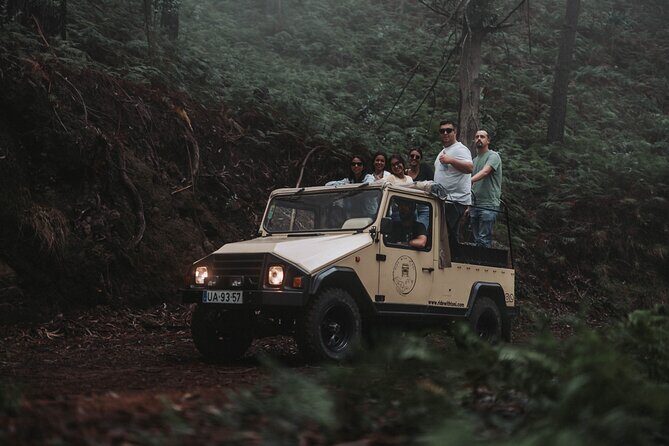 Jeep Tour to East ( Pico Arieiro, Santana, Faial, Caniçal) - What Travelers Say