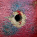 Jennie Wade Ghostly Encounter Tour - A Detailed Look at the Jennie Wade Ghostly Encounter Tour