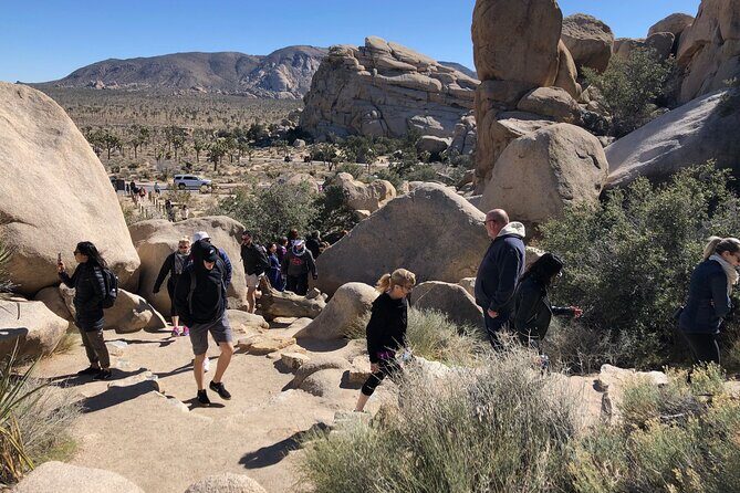 Joshua Tree National Park Driving Tour - What Makes This Tour Stand Out?