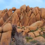 Joshua Tree National Park Scenic Tour - Concluding Thoughts