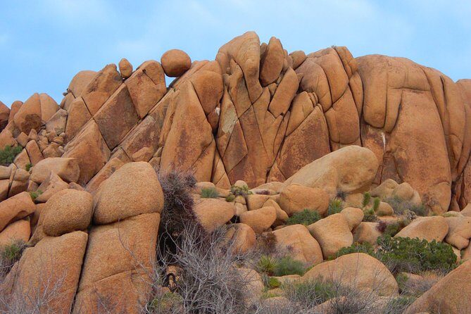 Joshua Tree National Park Scenic Tour - Concluding Thoughts