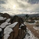 Joshua Tree National Park Self-Guided Driving Audio Tour - What We Learned from Reviews