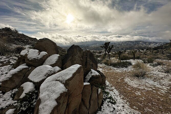 Joshua Tree National Park Self-Guided Driving Audio Tour - What We Learned from Reviews