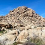Joshua Tree Natural Wonders Walk: Plants, Animals and Rocks - Final Thoughts: Is it Worth It?