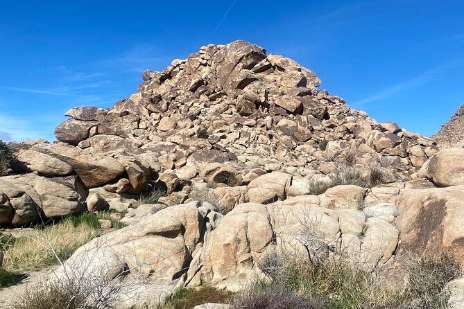 Joshua Tree Natural Wonders Walk: Plants, Animals and Rocks - Final Thoughts: Is it Worth It?