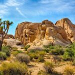 Joshua Tree's Hidden Valley Self-Guided Walking Tour - Final Thoughts: Is This Tour Right for You?