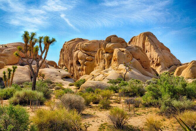 Joshua Tree's Hidden Valley Self-Guided Walking Tour - Final Thoughts: Is This Tour Right for You?
