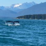 Juneau: Mendenhall Glacier and Whale Watching Tour - The Itinerary in Detail