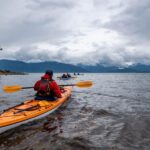Juneau: Paddle with Whales Kayak Adventure - Why This Tour Offers Great Value