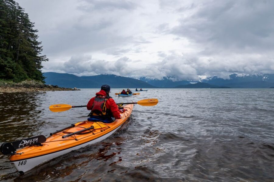 Juneau: Paddle with Whales Kayak Adventure - Why This Tour Offers Great Value