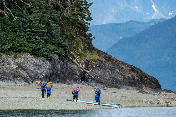 Juneau Shore Excursion: Paddle with Whales Kayak Adventure - The Sum Up