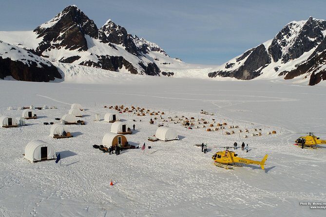 Juneau Shore Excursions: Helicopter Dogsledding Experience and Additional Glacier Landing - What Makes This Tour Special?