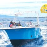 Kaanapali Beach Parasailing: Soar Above Mauis Stunning Coastline - Who Will Love This Tour?