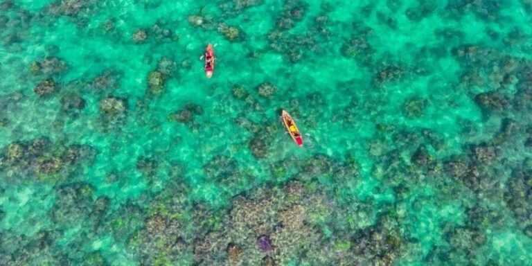 Kailua, Oahu: Guided E-Bike & Kayak Tour to Mokulua Islands - What Sets This Tour Apart?