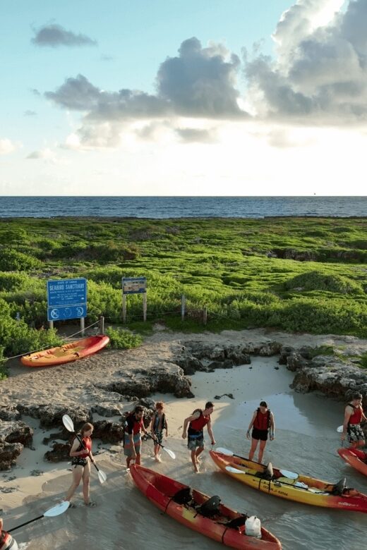 Kailua, Oahu: Popoia Island & Kailua Bay Guided Kayak Tour - Authenticity and Practical Considerations
