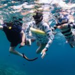 Kaimana Kealakekua Bay Captain Cook Adventure - Analyzing the Value: Price and Experience