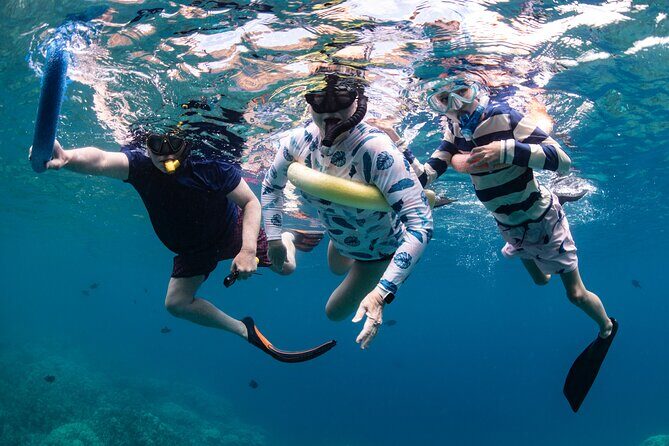 Kaimana Kealakekua Bay Captain Cook Adventure - Analyzing the Value: Price and Experience