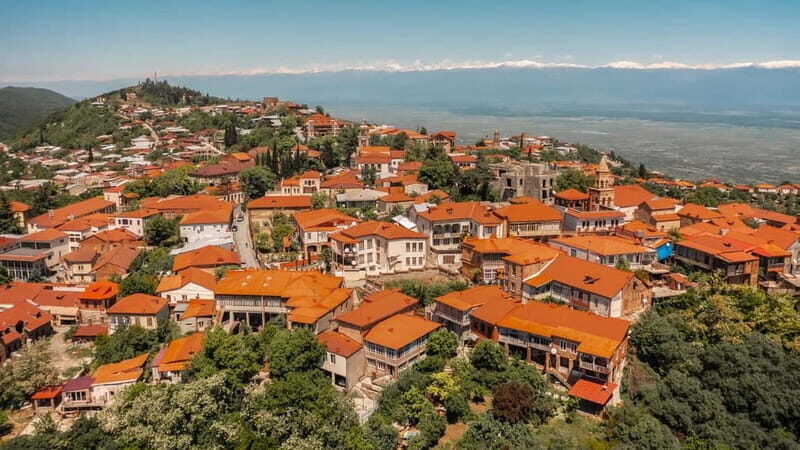 Kakheti & Sighnaghi Private Guided Day Trip with Wine - Who Will Love This Tour?