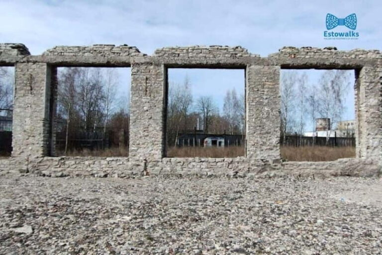 Kalamaja: Wooden Homes to Factories Engineer Walking Tour - The Industrious Streets of Tööstuse and Vabriku