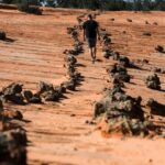 Kanab: UTV Tour with Ancient Pictographs and Sand Dunes - Why This Tour Matters