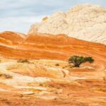 Kanab: White Pocket Tour & Hike - The Experience: Authenticity Meets Comfort