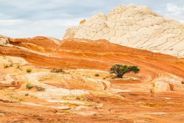 Kanab: White Pocket Tour & Hike - The Experience: Authenticity Meets Comfort