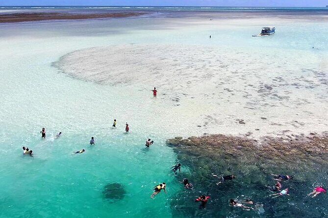 Kaneohe Sandbar Snorkeling Tour - 1st Tour - Who Will Love This Tour?