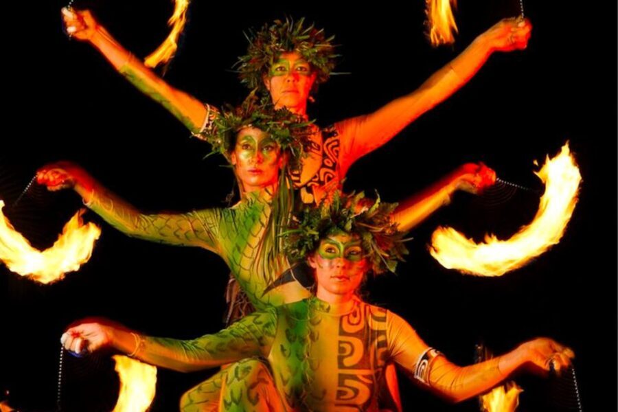 Kauai: Buffet Dinner with Open Bar and Luau Kalamaku Show - Who Will Enjoy This Experience?