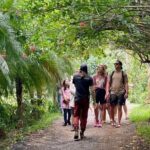 Kauai Chocolate Farm Tasting Tour - The Scenic and Practical Aspects of the Tour