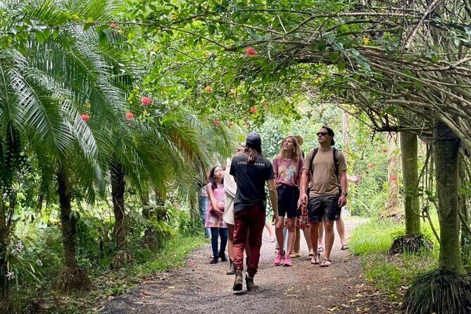 Kauai Chocolate Farm Tasting Tour - The Scenic and Practical Aspects of the Tour