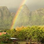 Kauai East Side and North Shore Private Guided Tour - Why Travelers Love This Tour