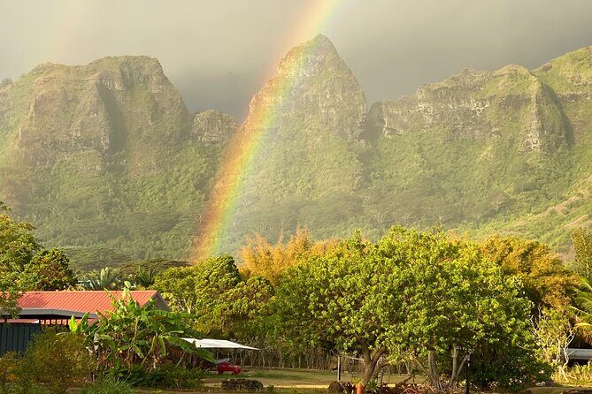 Kauai East Side and North Shore Private Guided Tour - Why Travelers Love This Tour