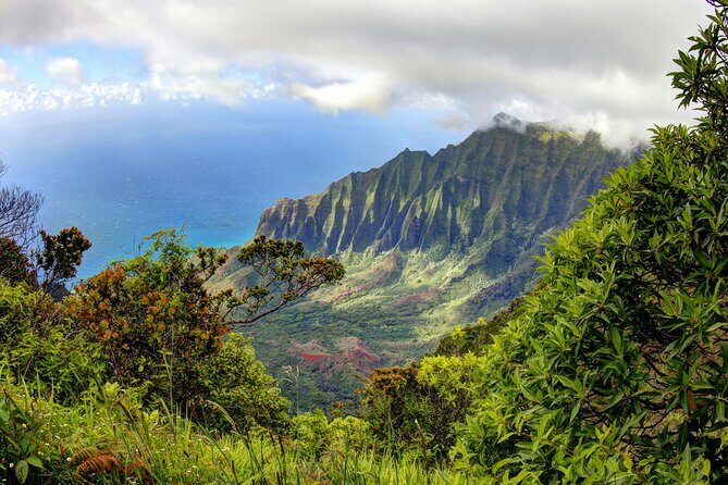 Kauai Island Private Guided Tour-Waimea Canyon from Lihue/Kapaa - What It Means for You: The Experience You Can Expect