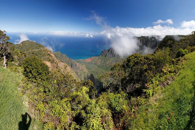 Kauai Island - Private Tour : Waimea Canyon and Southside - Who Should Consider This Tour?