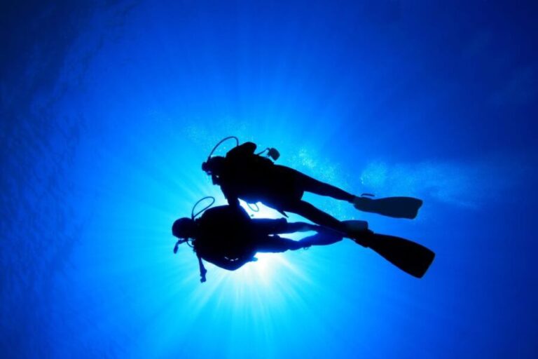Kauai: Morning 2 Tank Boat Dive for Experienced Divers - Who Will Love This Experience?