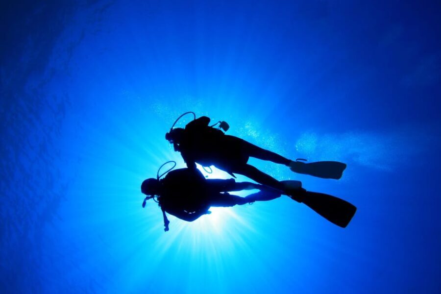 Kauai: Morning 2 Tank Boat Dive for Experienced Divers - Who Will Love This Experience?