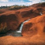 Kauai Private Guided Tour to Waimea Canyon from Nawiliwili - The Practical Details
