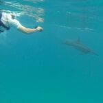 Kauai Sea Kayaking 10 mile tour - Na Pali Iki (Polihale to Milolii) - The Value of This Tour