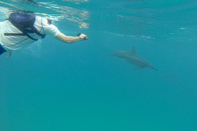 Kauai Sea Kayaking 10 mile tour - Na Pali Iki (Polihale to Milolii) - The Value of This Tour